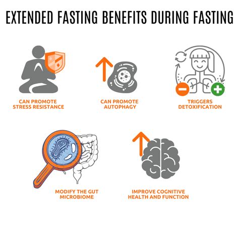Extended Fasting 101 Shawn Wells