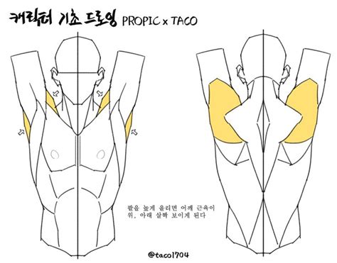 Taco1704에 있는 H1kki님의 핀 드로잉 강좌 그리기 튜토리얼 해부학 그림
