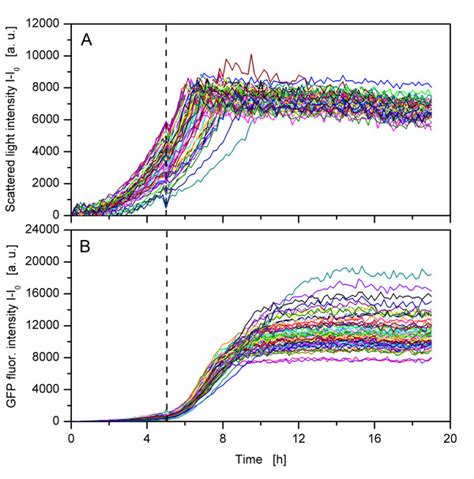 Simulating A Typical High Throughput Cultivation Process Effect On