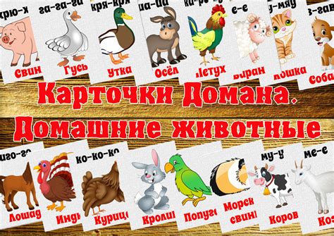 Карточки Домана Домашние животные Velcro Magico