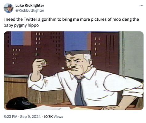 24 Moo Deng Memes And Tweets Stealing Our Hearts Ebaums World