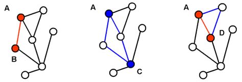 Direct And Indirect Interactions Nodes Represent Proteins While Edges