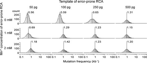 Histogram Of Per Base Mutation Frequency On A Logarithmic Scale The Download Scientific