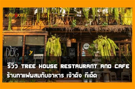 รวว Tree House restaurant and café รานกาแฟผสมกบอาหาร เจาดง