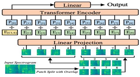 transformer based approach to pathology diagnosis using audio spectrogram