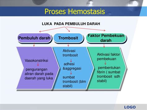 Proses Hemostasis