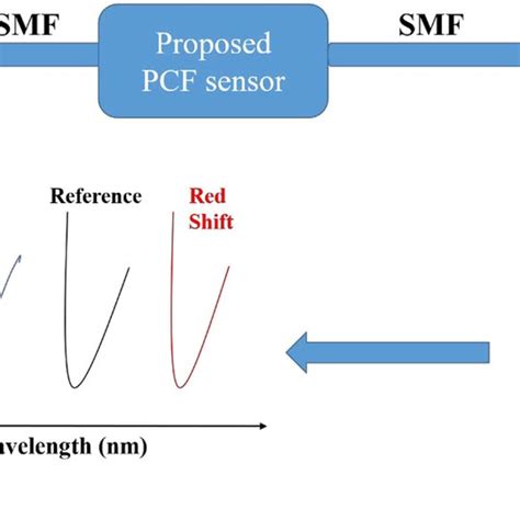 Complete Setup Of The Sensing Process For Proposed Sensor Download