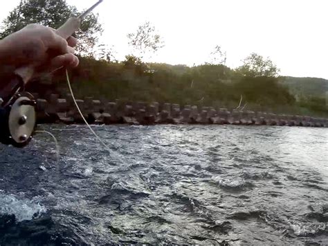 Angler