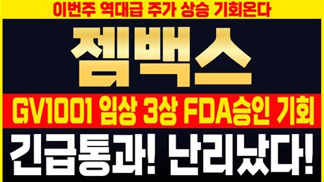젬백스 주가전망 단독속보 미국 Fda승인 기회 임상 3상 진행 기술료 5조원 취득 가능성 확보 젬백스 젬백스주가 Youtube