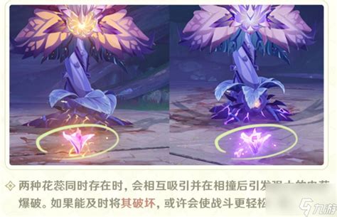 原神掣电树虚极花蕊怎么打 掣电树虚极花蕊打法攻略 原神 九游手机游戏