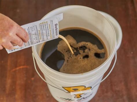 How To Homebrew Beer For Beginners Cooking Babe Food Network
