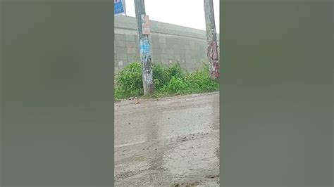 গোবিন্দগঞ্জ গাইবান্ধার হঠাৎ বৃষ্টি শুরু হয়ে গেলো Youtube
