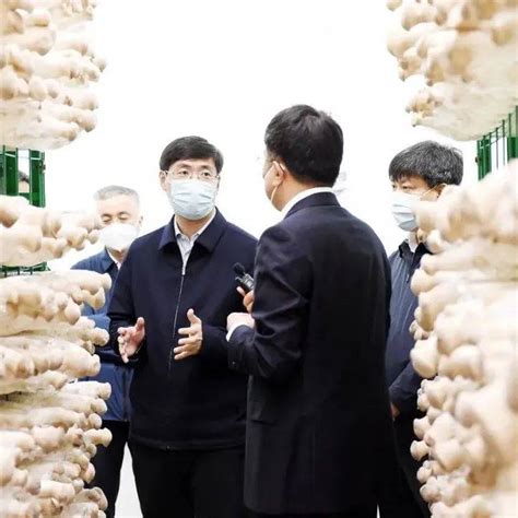 洪庆到安图县调研：坚决稳住经济大盘 统筹抓好防疫和发展 为人民群众生产生活和谐有序提供良好环境工作相关防控