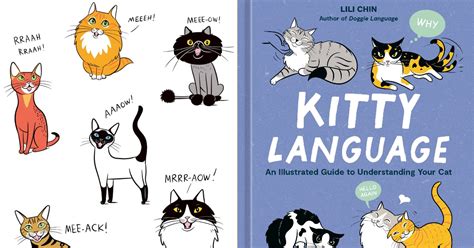 Adorably Illustrated Book Helps Decode Cat Body Language Adorably Illustrated Book Helps Decode Cat Body Language
