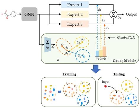 유환조 교수 Learning Topology Specific Experts For Molecular Property