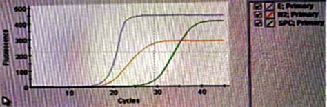 Fluorescent Curve Graph Of Sars Cov 2 Tcm To See The Sigmoid Curve