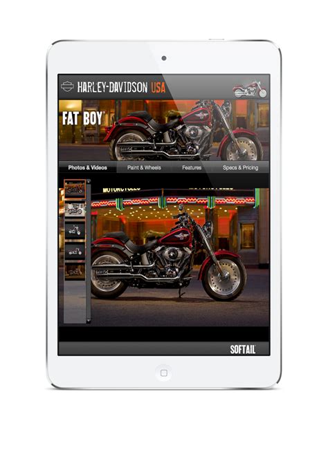 FileMaker Go Mobile Development Services Cleveland Consulting