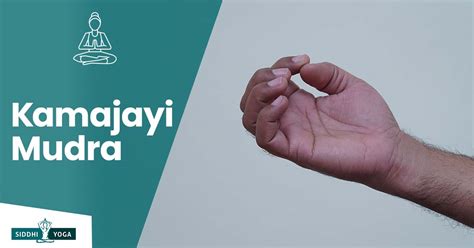 Kamajayi Mudra Meaning Benefits And How To Do Siddhi Yoga