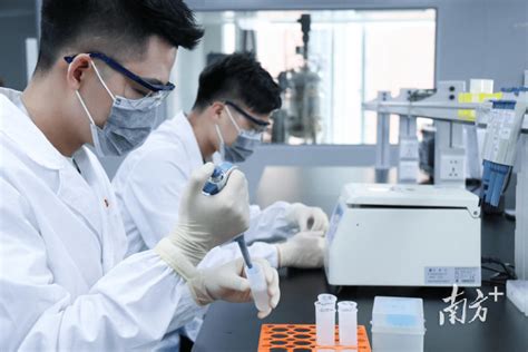 最高资助500万东莞市科技人才创业计划开始申报 市科技局 业务 申请人