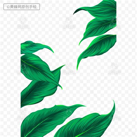 手绘热带植物叶子png素材 素材 黄蜂网woofeng cn