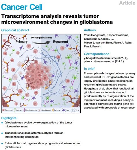 Youri Hoogstrate På Linkedin Glioblastoma Tumor Tumorevolution