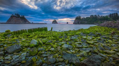 Nature Landscape Water Trees Clouds Usa Rock Stones Moss