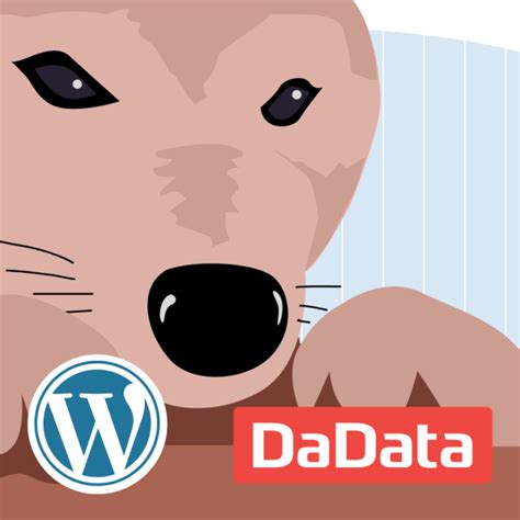 Swift код банка что это для чего нужен и как узнать — Dadata