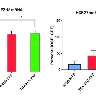 Peritoneal Fluid Increases Proliferation Of TOV 21G Cells As