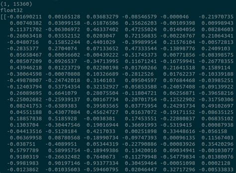 Bug Different Inference Results Of Tflite Model And Onnx Model