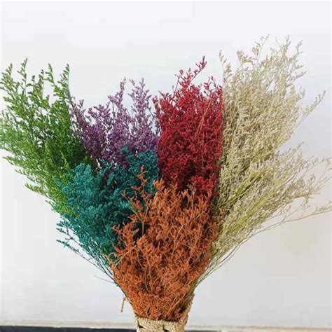 Factory Wholesale Lover Grass Valentines Grass Preserved Limonium For