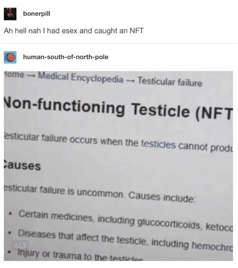 Caught An NFT NFT Non Fungible Token Crypto Art Know Your Meme