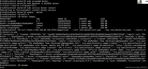 使用 Docker Client 对docker Engine 进行调用 Csdn博客