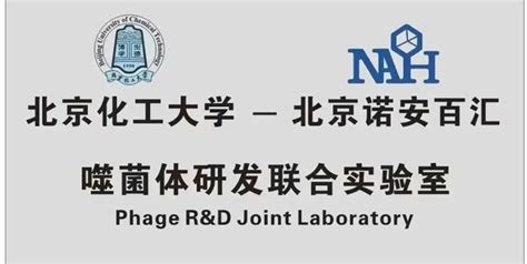 战略合作 北京化工大学与北京诺安百汇成立噬菌体研发联合实验室 青岛诺安百特生物技术有限公司