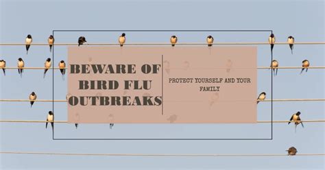 Bird Flu Pandemic The Emergence Of H5n1 Outbreaks In The Us