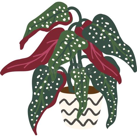 Houseplant Vector Icon Stock Vector Illustration Of Houseplant 237444833