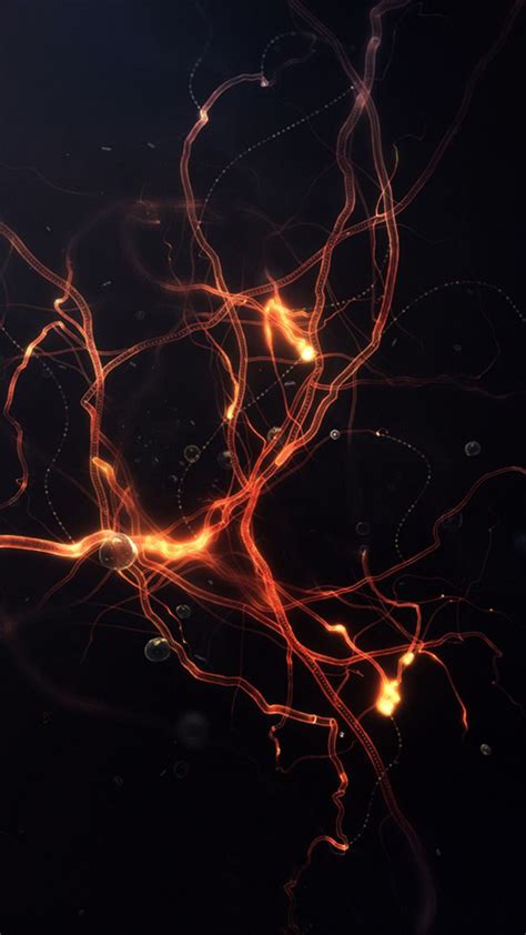 🔥 [47 ] Transformer Backgrounds Wallpapersafari