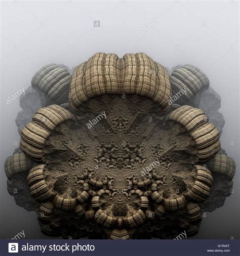 Fractals Patterns Symmetry High Resolution Stock Photography And Images Alamy