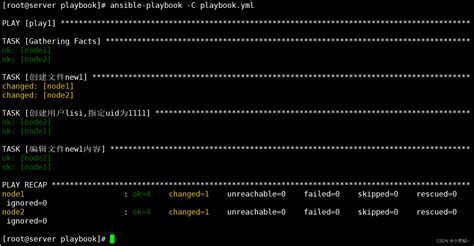 【ansible】剧本playbookansible Playbook 检查 Csdn博客