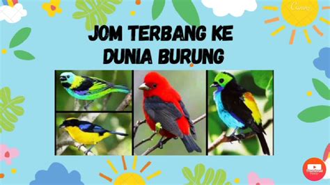 Aktiviti Tema Burung Prasekolah Mini Worksheet 1 10 Tema Burung