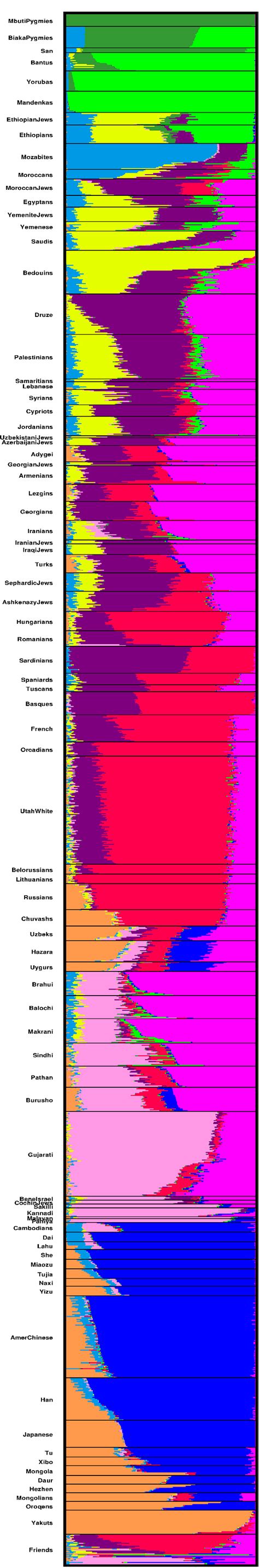 An Informative Admixture Plot Perhaps Discover Magazine