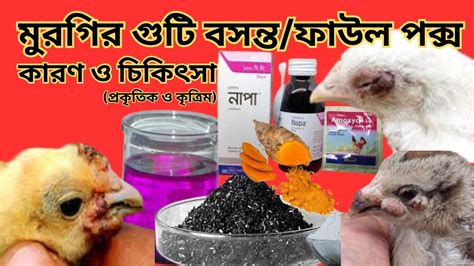 মুরগির গুটি বসন্ত রোগের চিকিৎসা ।। মুরগির ফাউল পক্স হলে করণীয় কি