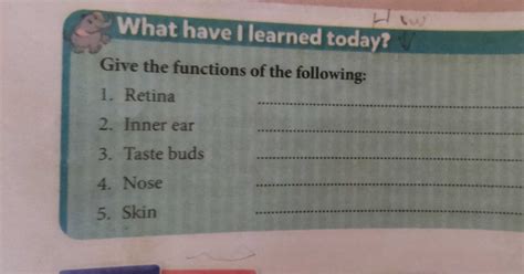 What Have I Learned Today Give The Functions StudyX
