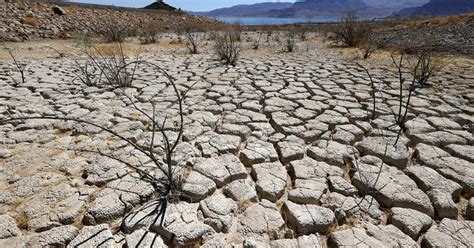 Climate Summit Chief Says Next Un Report Starkest Warning Yet