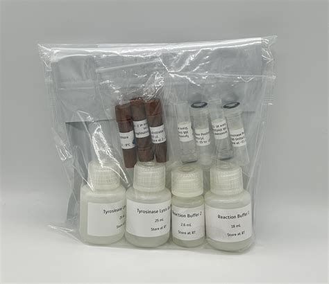 Oligonucleotide Bsa Conjugation Kit Attogene