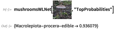 Deploy A Neural Network To Your Ios Device Using The Wolfram Language