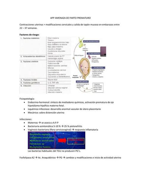 Amenaza De Parto Prematuro MEDilove UDocz