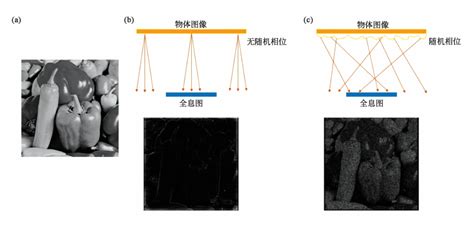 纯相位全息图优化算法综述 知乎
