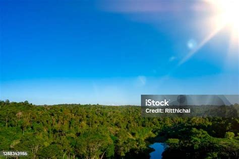 언덕과 푸른 하늘을 배경으로 숲의 전망 하늘 맑은 구름에 태양 빛 땅에 녹색 숲과 강 삶의 상쾌공원에 아름다운 풍경 0명에 대한 스톡 사진 및 기타 이미지 Istock