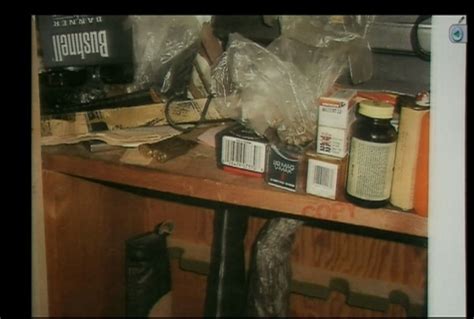 Jodi Arias Travis Alexander Evidence