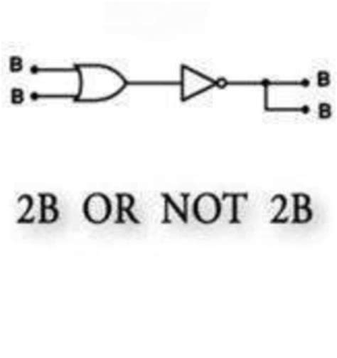 2b Or Not 2b Rprogrammerhumor